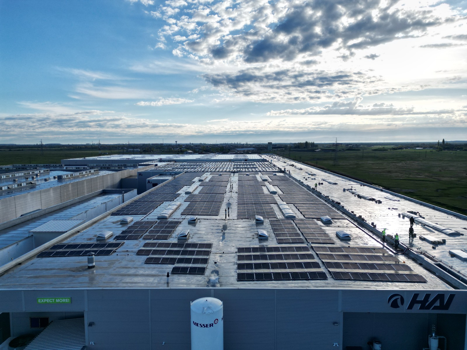 Wiren in press - Wiren